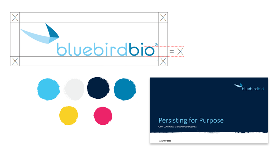 bluebird bio 2021 corporate brand refresh – Jennyfrazier.com
